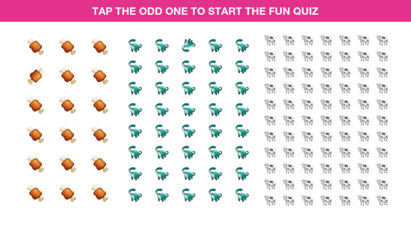 Quiz Break | Challenge yourself to great quizzes and puzzles!