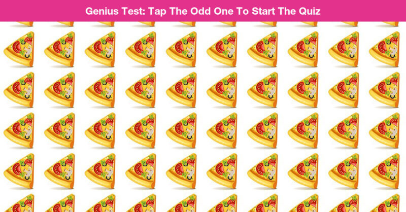 Quiz Break | Challenge yourself to great quizzes and puzzles!